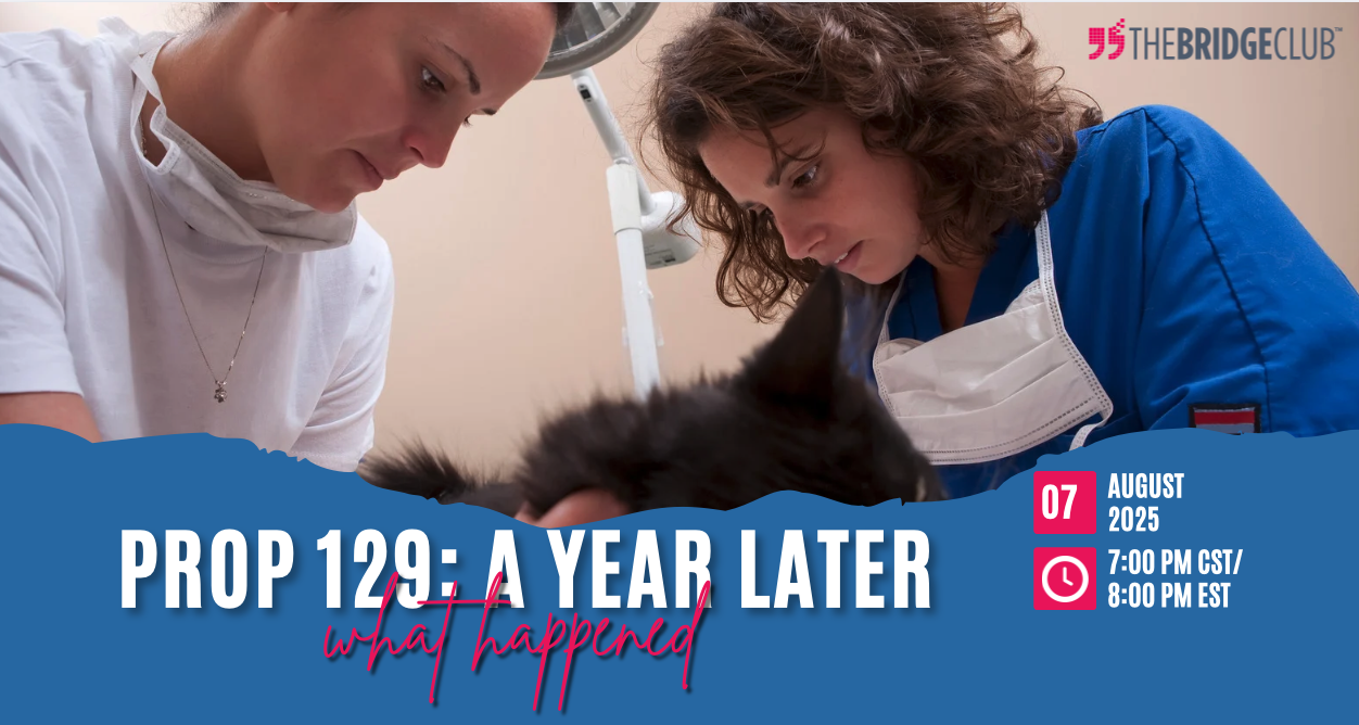 Prop 129: One Year later - The Bridge Club
